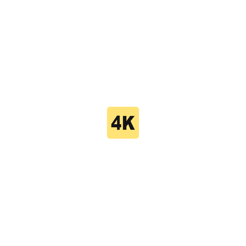 NVR 12 Megapixel (4K)
